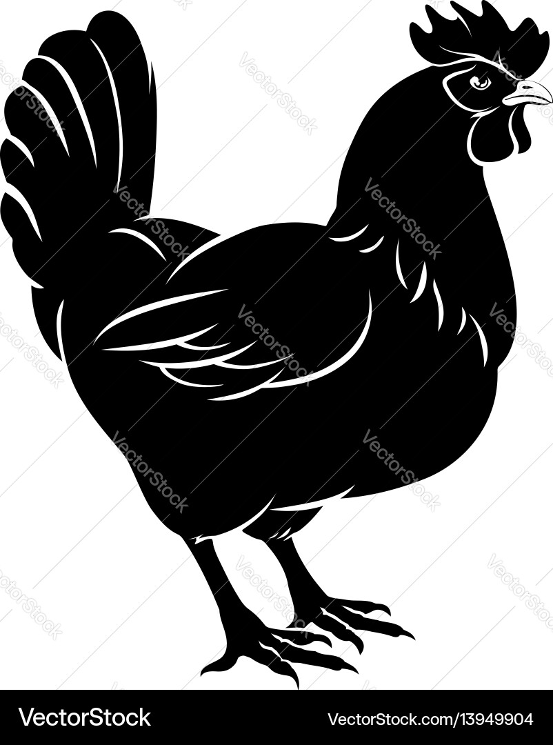 Chicken food Royalty Free Vector Image - VectorStock