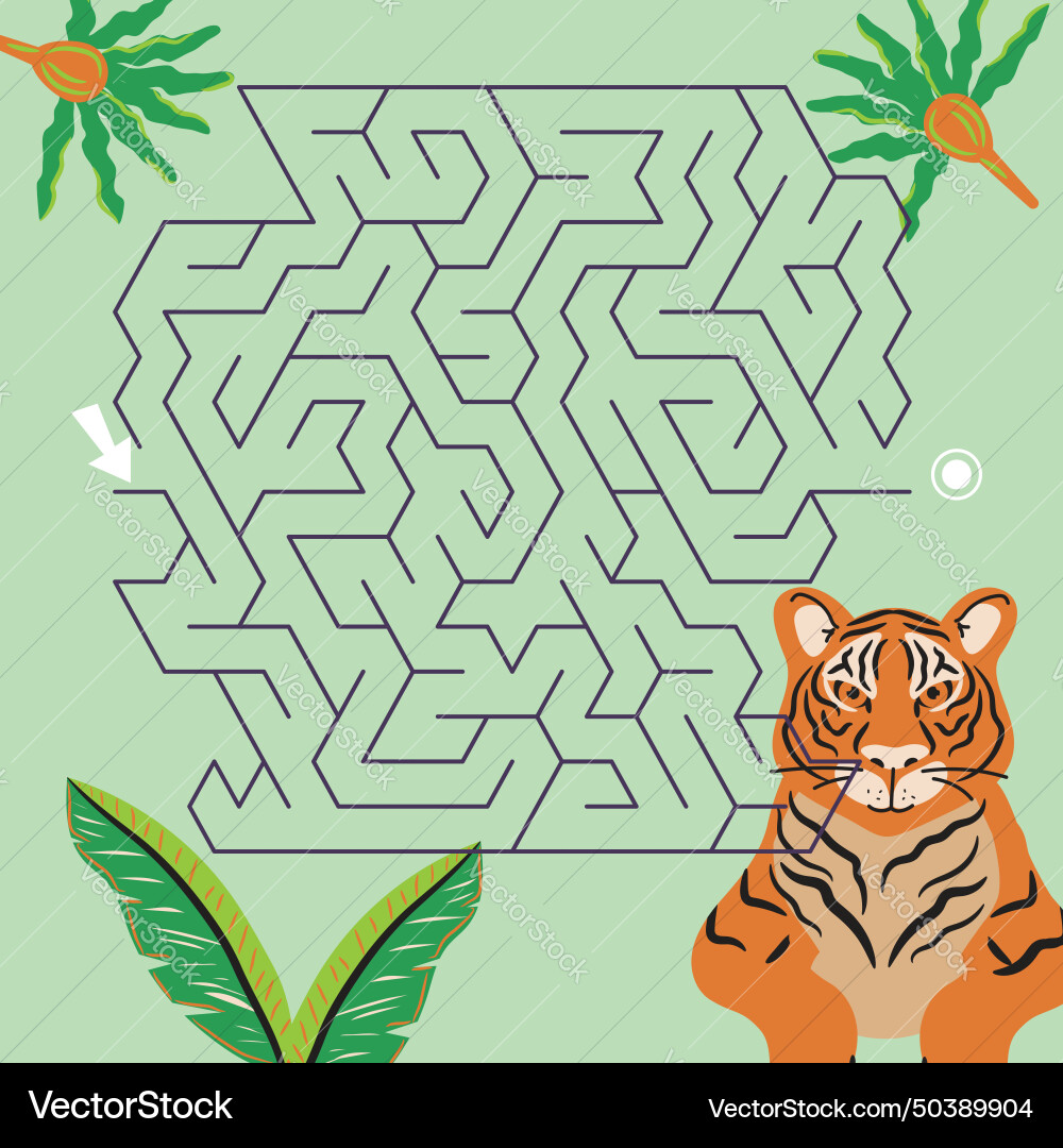 Maze labyrinth game tiger Royalty Free Vector Image