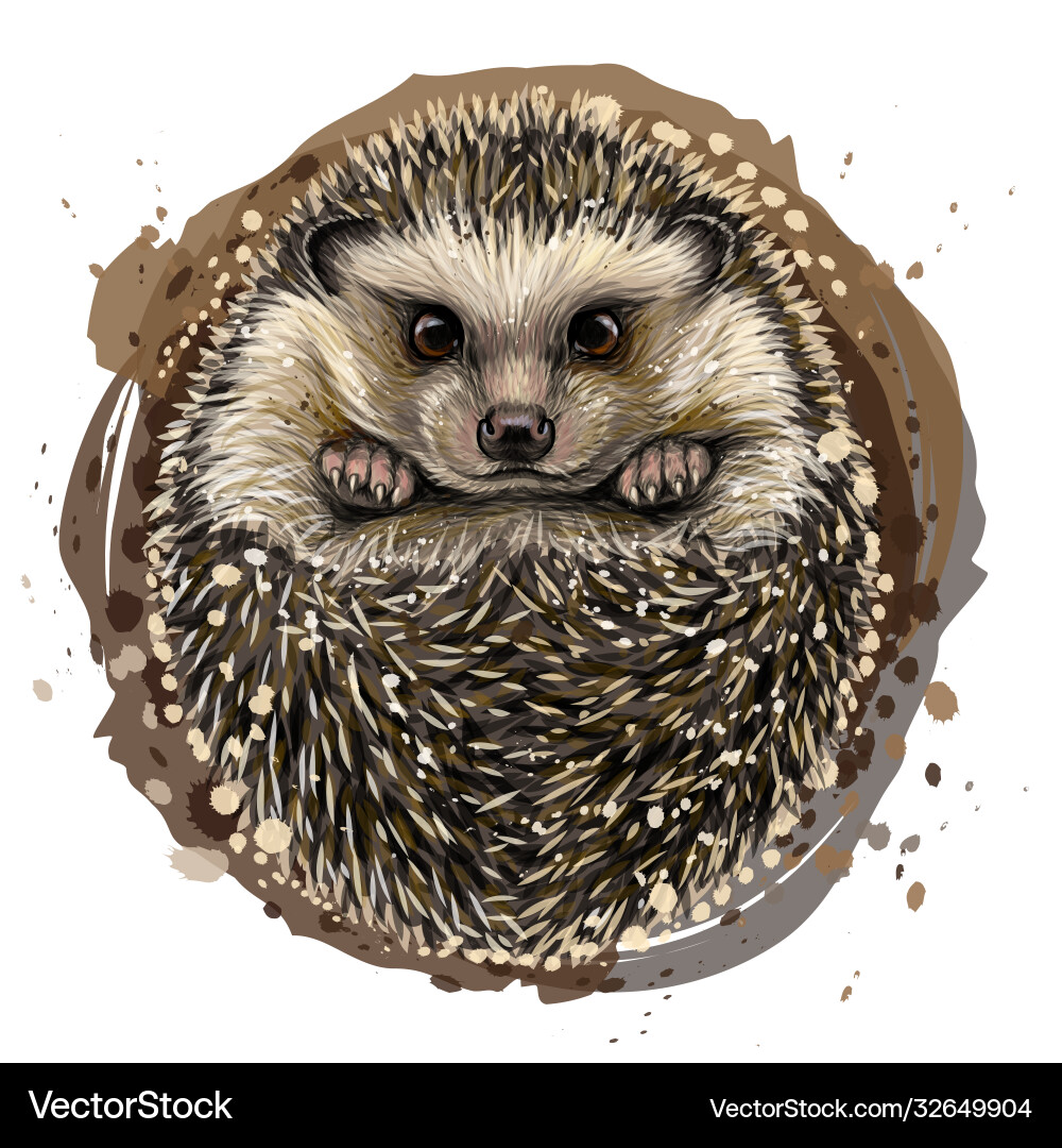 Watercolor Hedgehog Portrait Royalty Free Vector Image