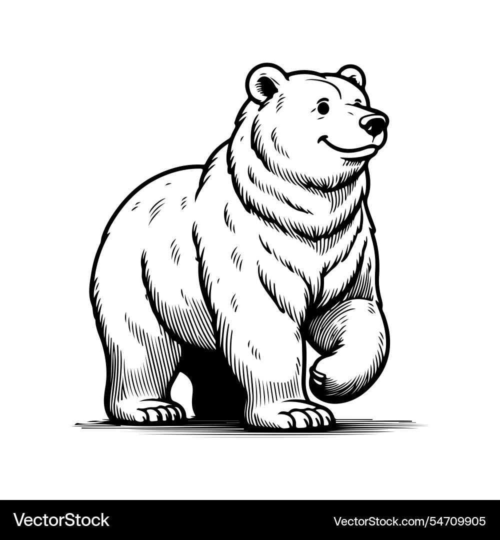 Bear line art coloring page Royalty Free Vector Image