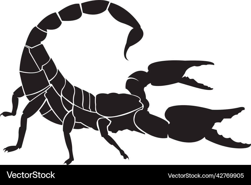Scorpion logo Royalty Free Vector Image - VectorStock