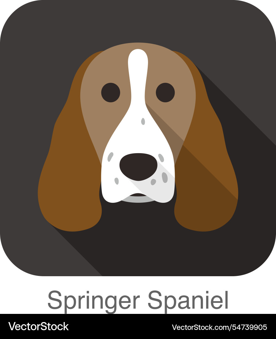 Springer spaniel dog face flat icon series Vector Image