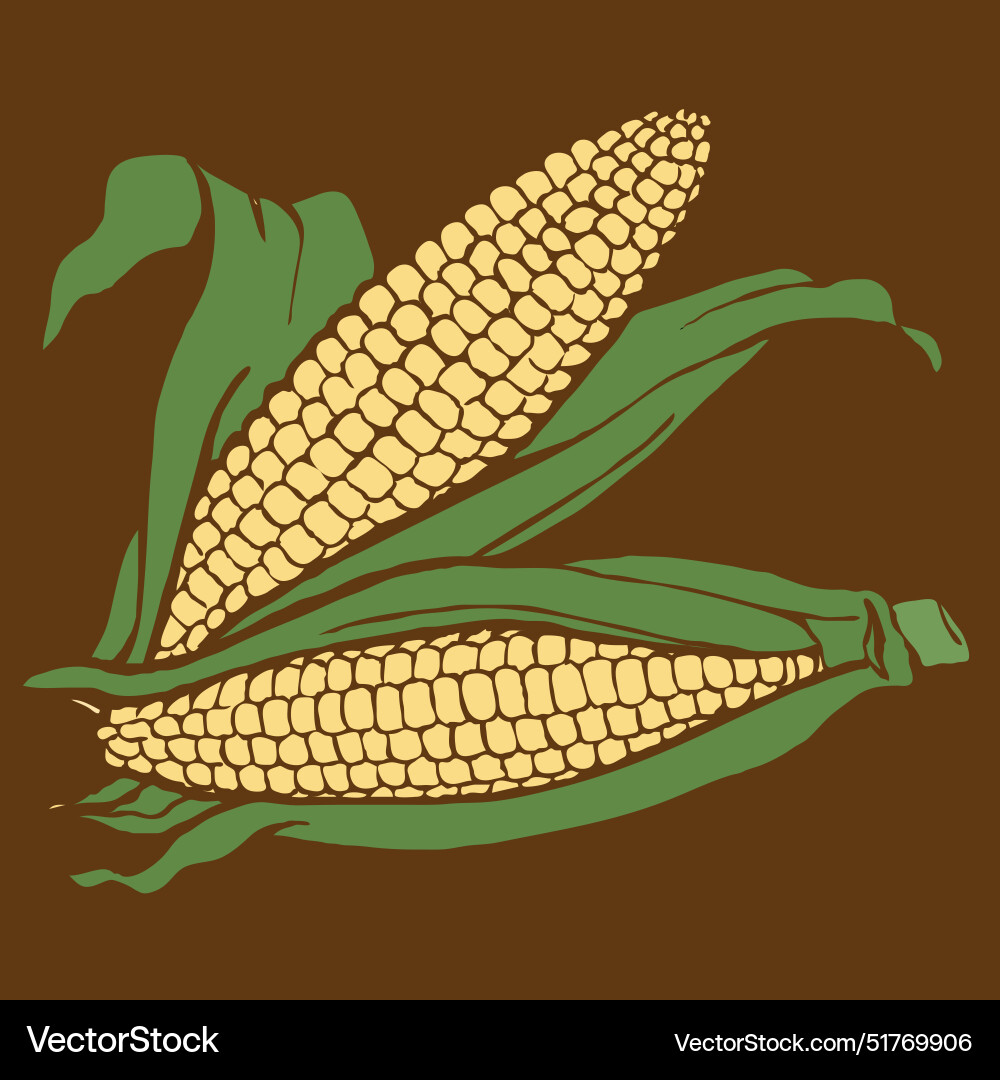 A pair of corn isolated Royalty Free Vector Image