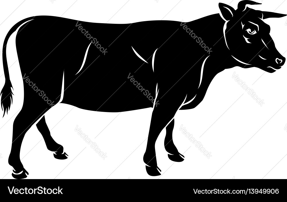 Cow or bull beef Royalty Free Vector Image - VectorStock