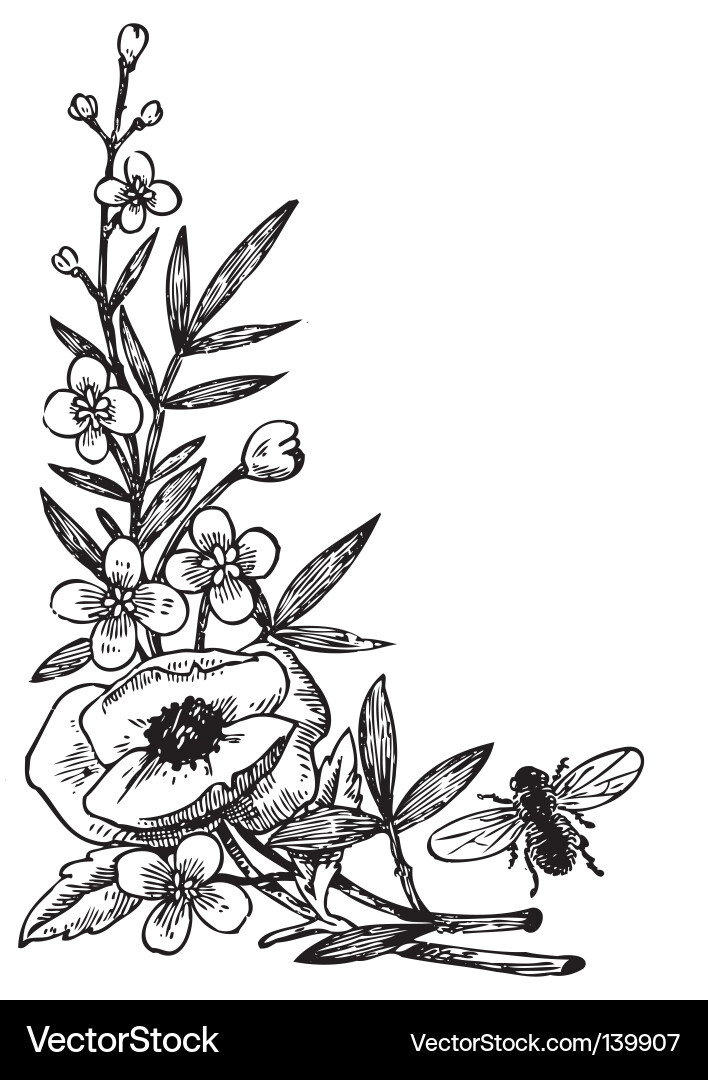 Antique flowers engraving Royalty Free Vector Image