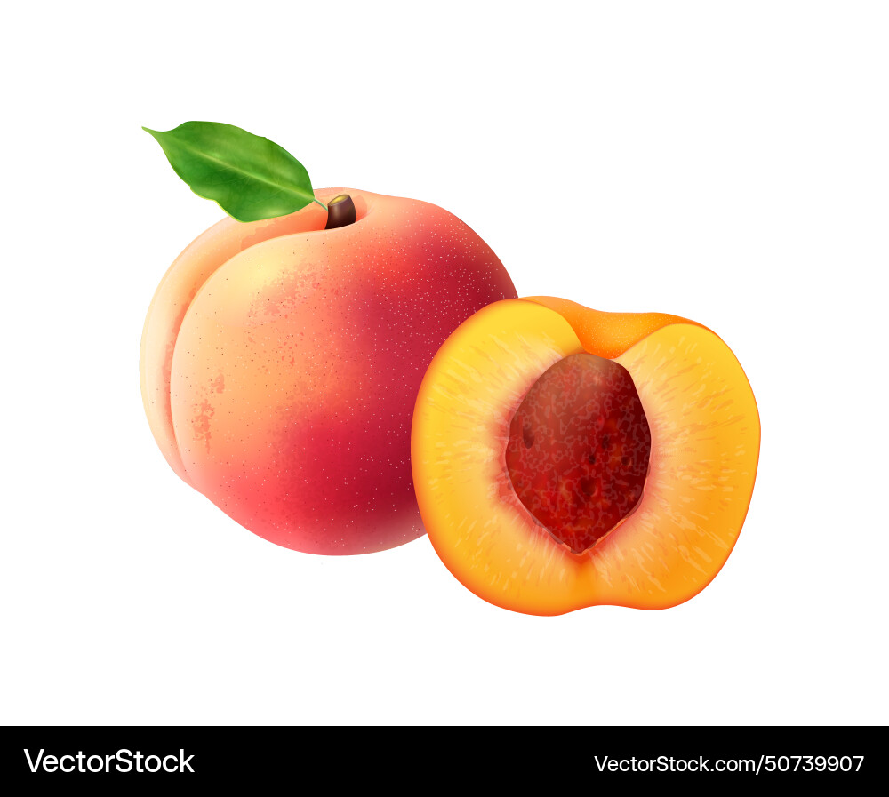 Realistic peach fruit composition Royalty Free Vector Image