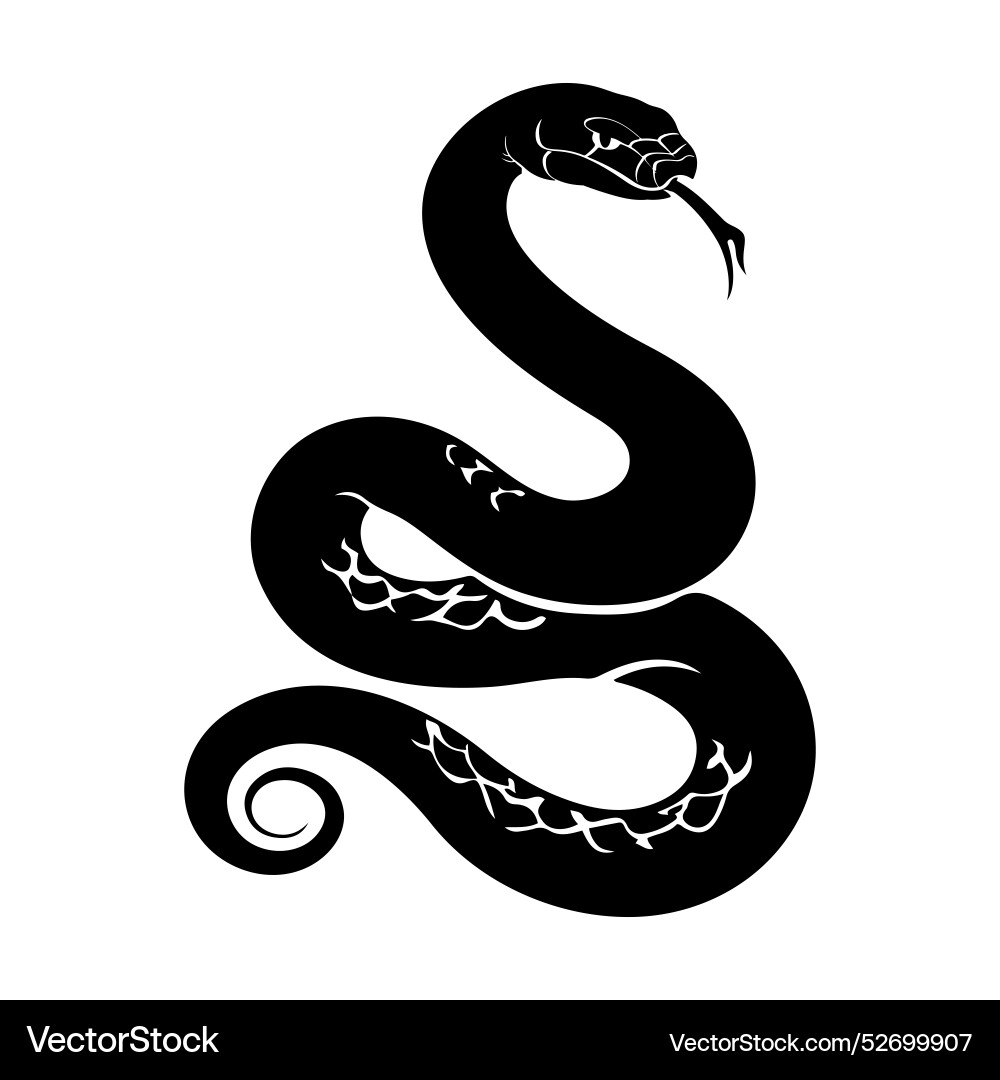 Snake black silhouette on white background Vector Image