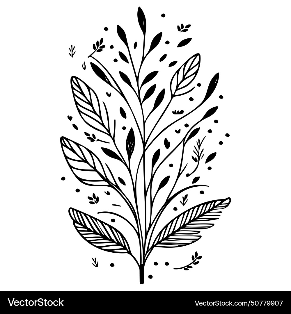 Spring grass leaf easter butterfly sketch draw Vector Image