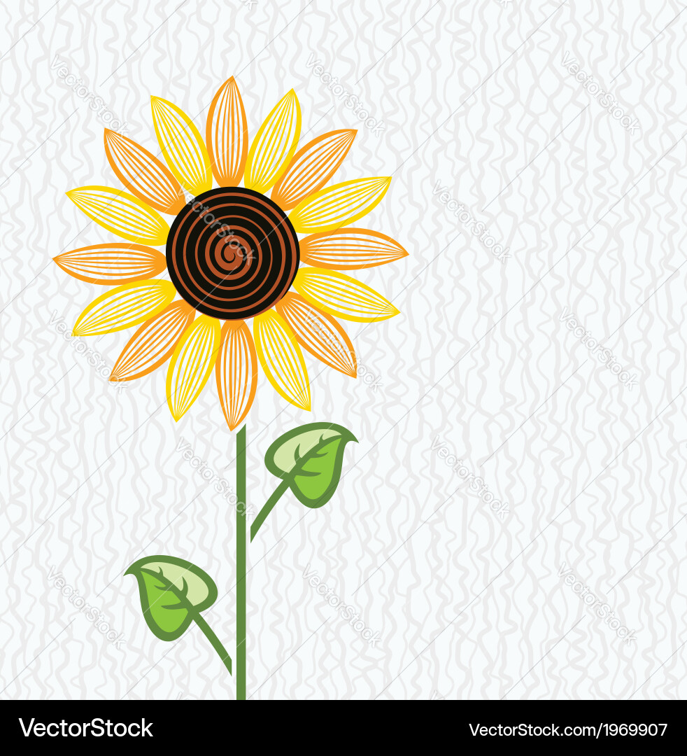 Sunflower Royalty Free Vector Image - VectorStock