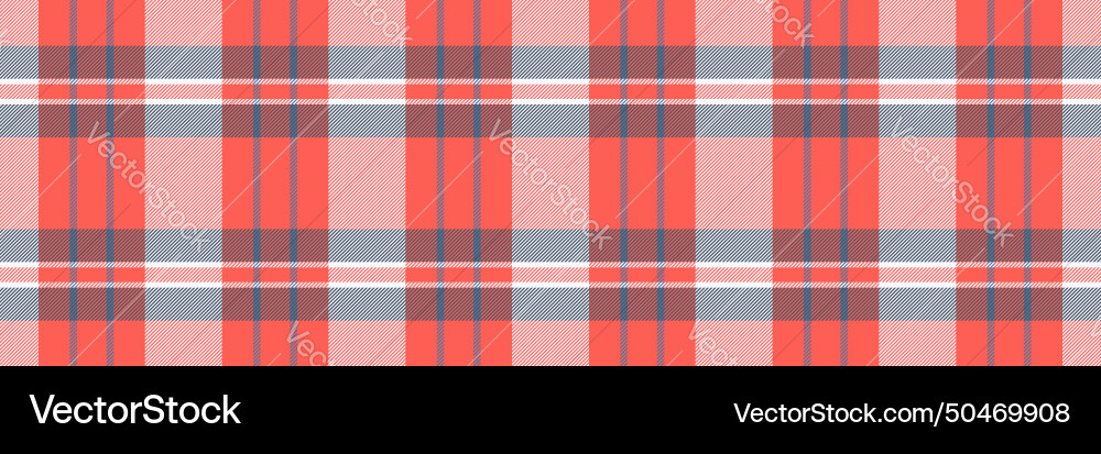 Carpet pattern textile plaid minimalist check Vector Image