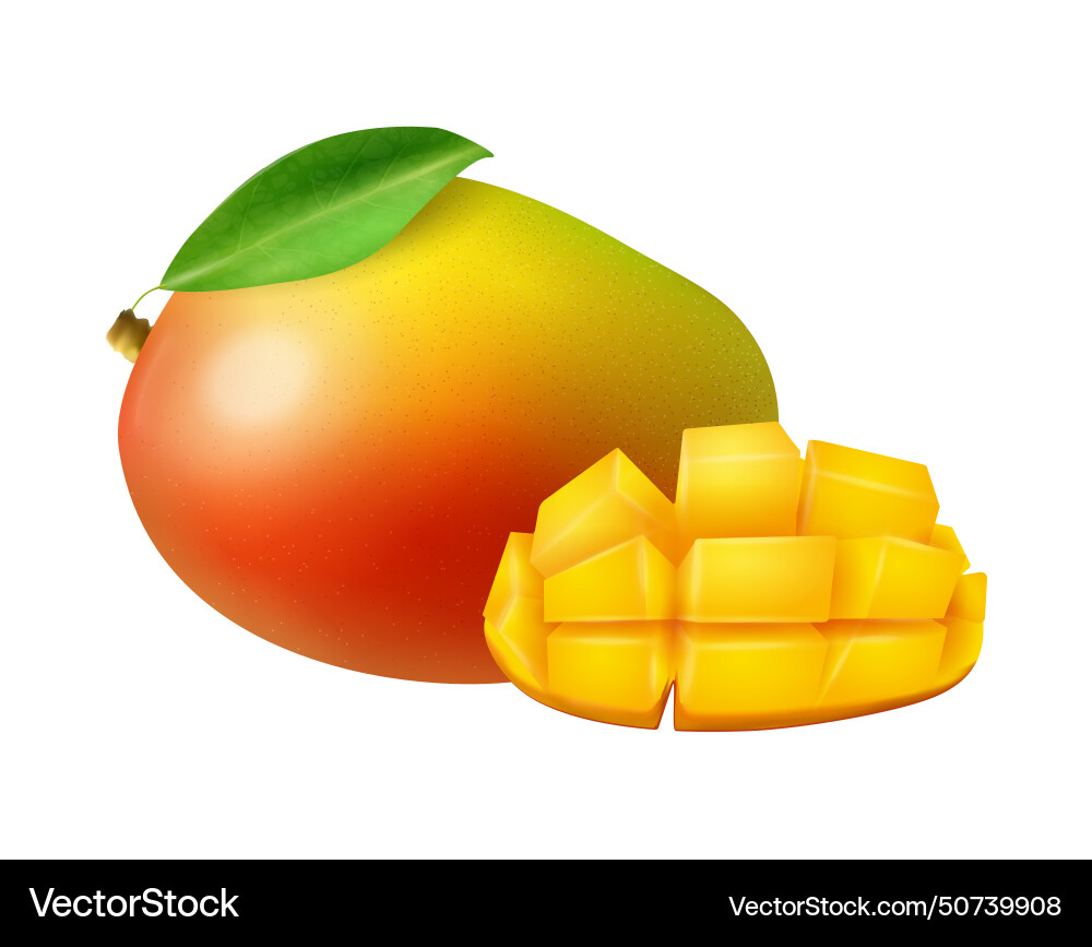 Realistic mango fruit composition Royalty Free Vector Image