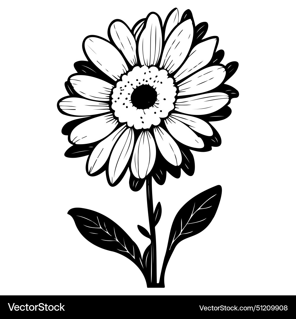 Sunflower sketch hand draw Royalty Free Vector Image