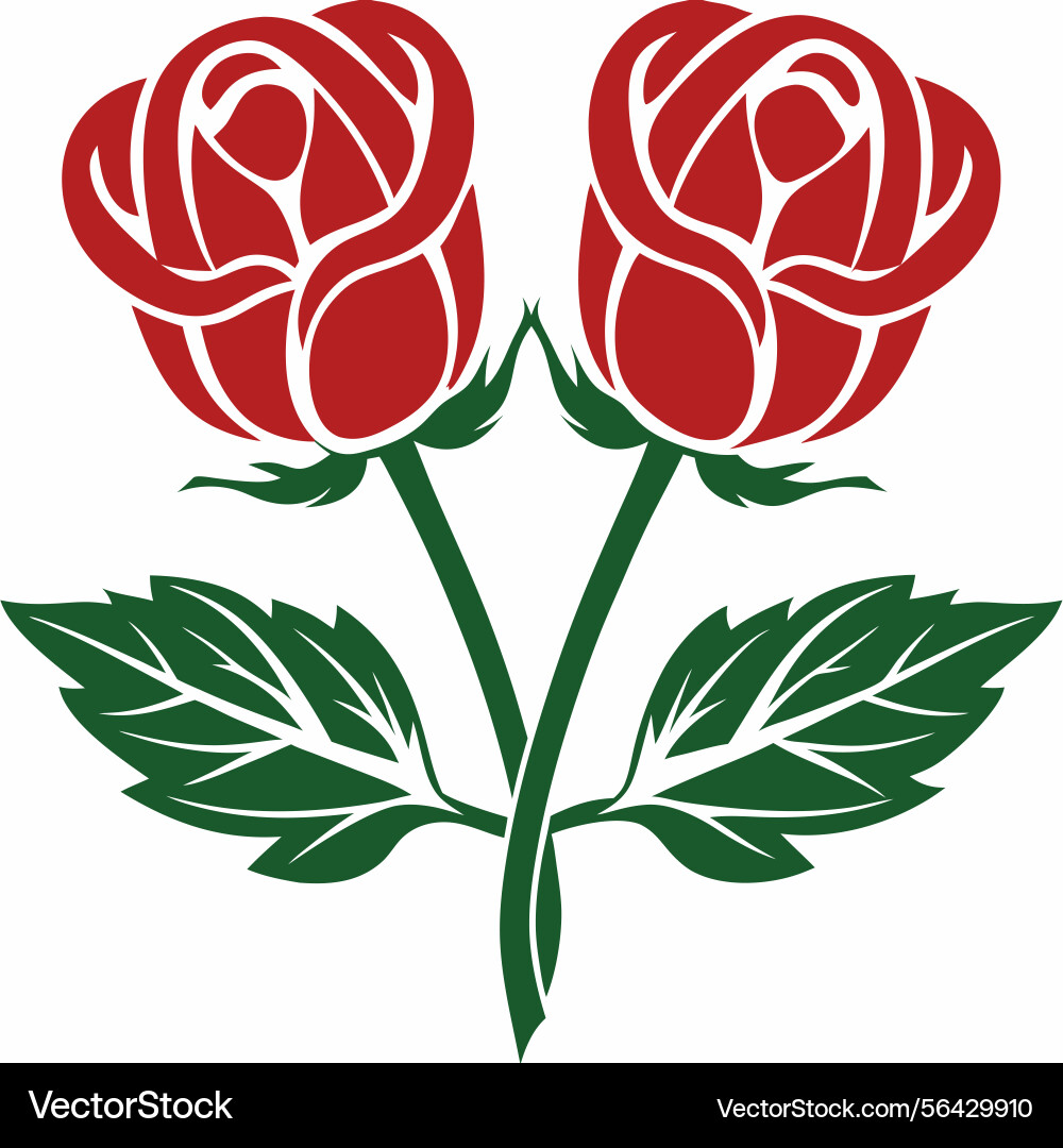Coloring two stylized red roses with green leaves Vector Image