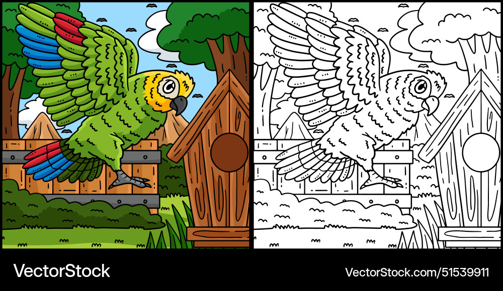 Amazon parrot bird coloring page Royalty Free Vector Image