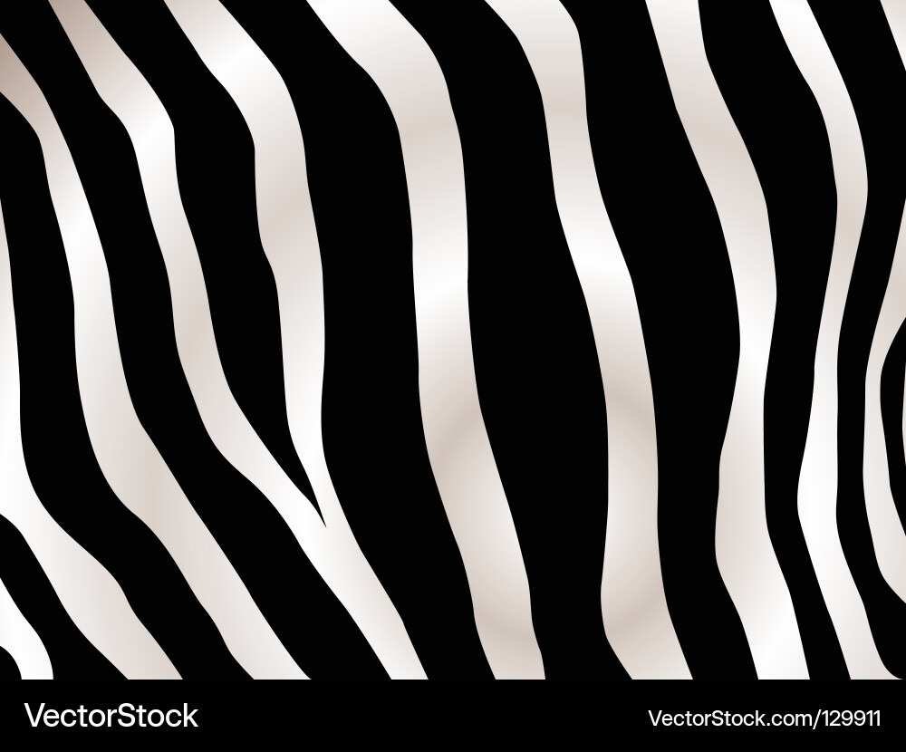 Zebra background Royalty Free Vector Image - VectorStock