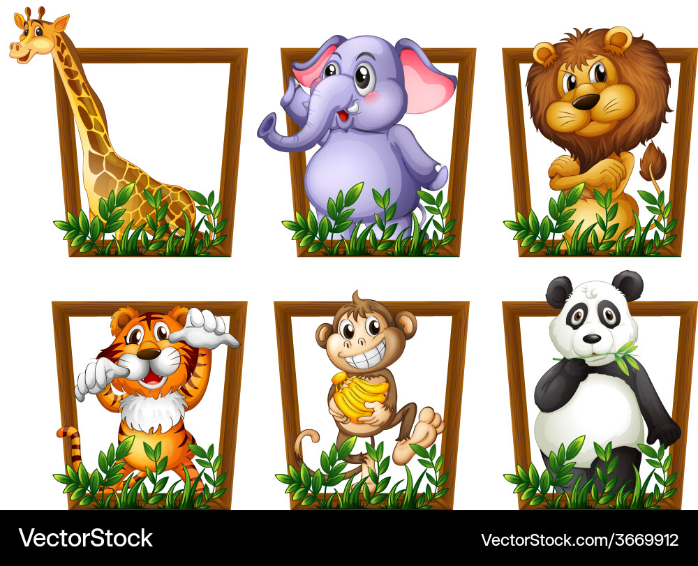 Animals Royalty Free Vector Image - VectorStock