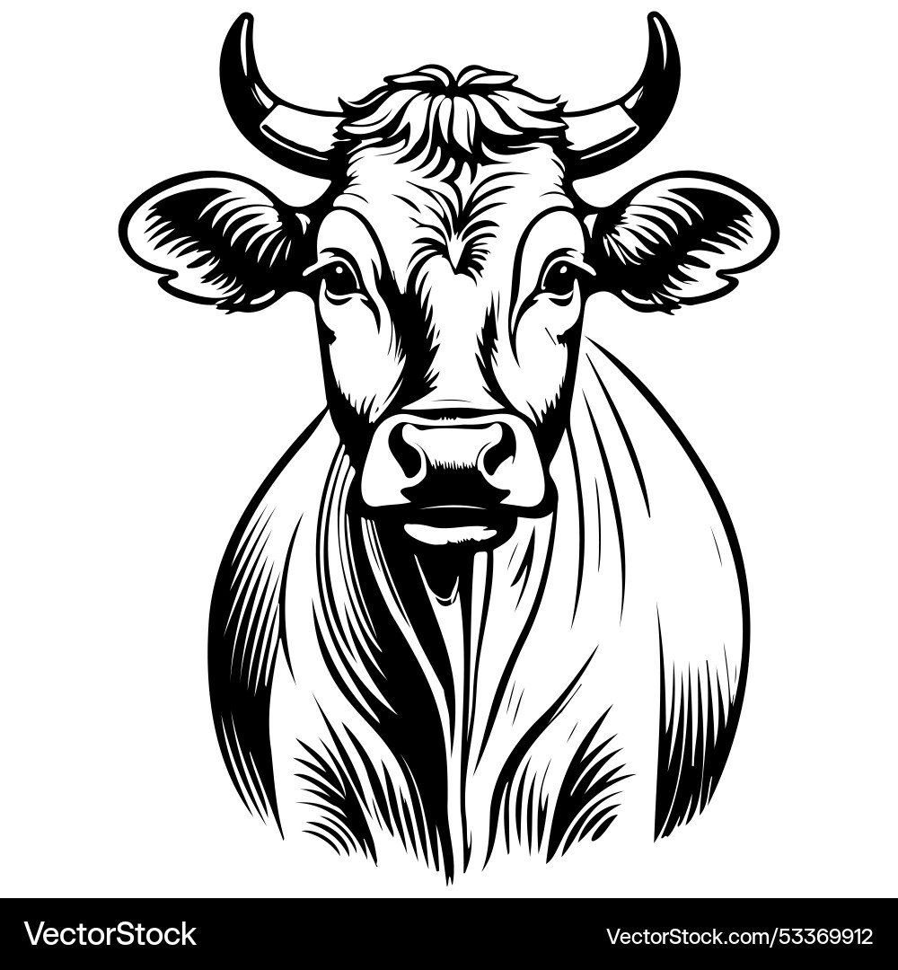 Ink cow monochrome outline drawing realistic Vector Image