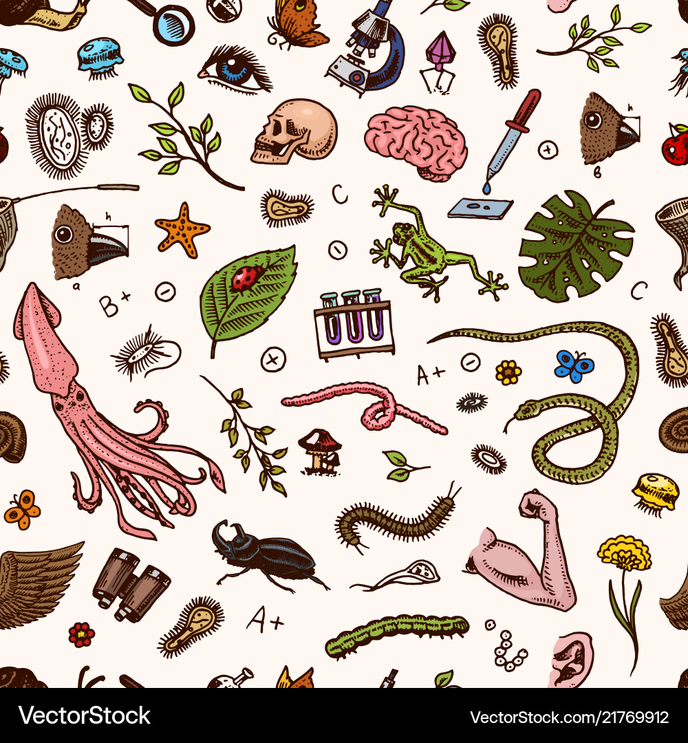 Science Lab Seamless Pattern Royalty Free Vector Image