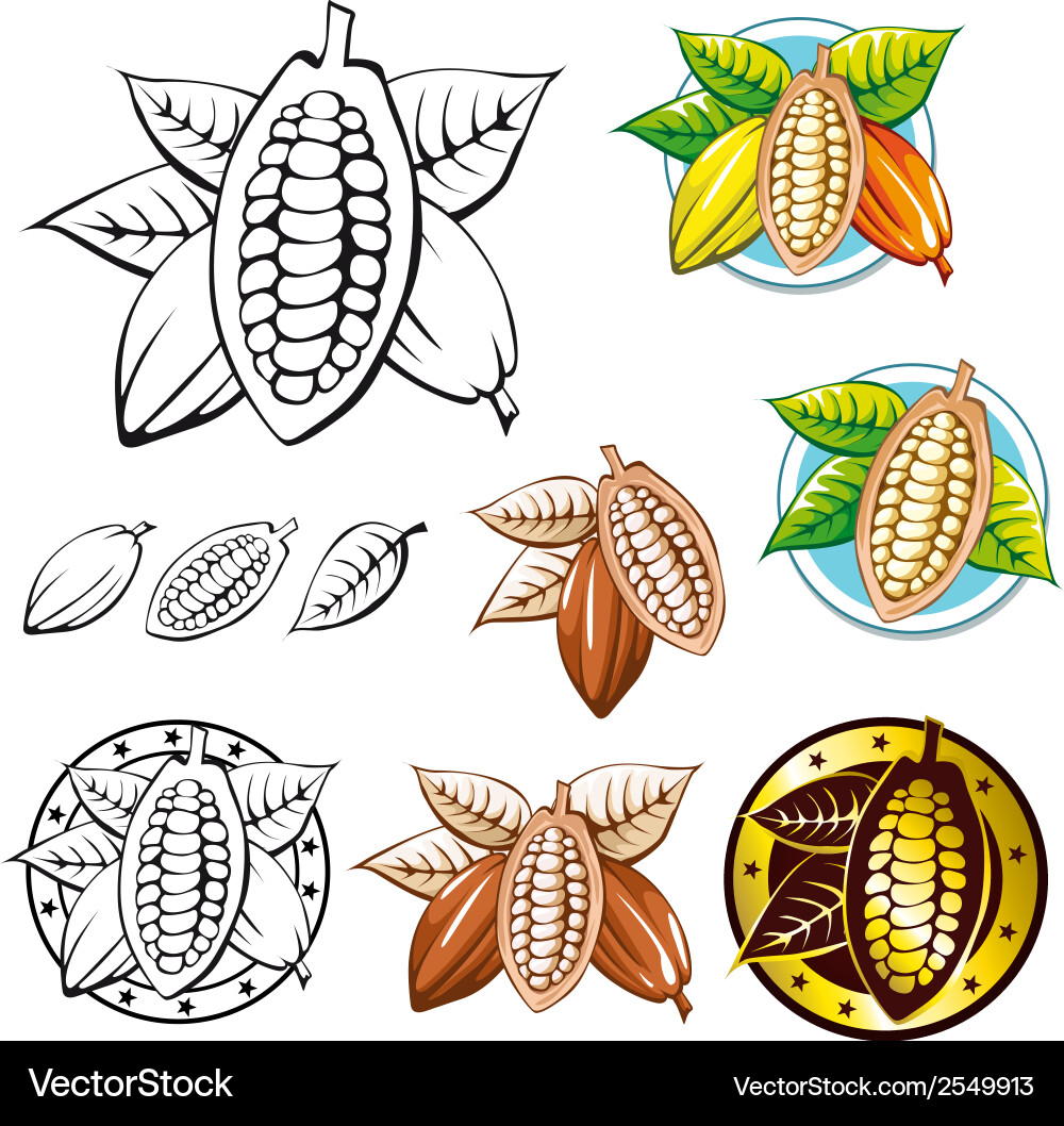Cocoa bean symbols Royalty Free Vector Image - VectorStock
