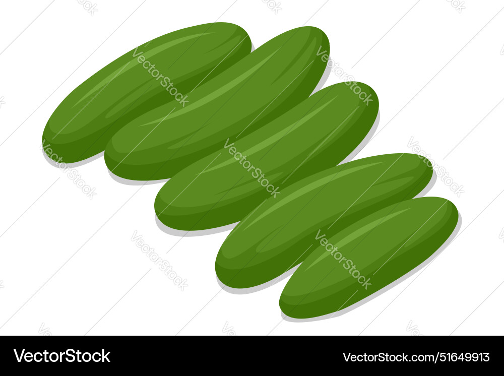 Isometric green cucumber Royalty Free Vector Image