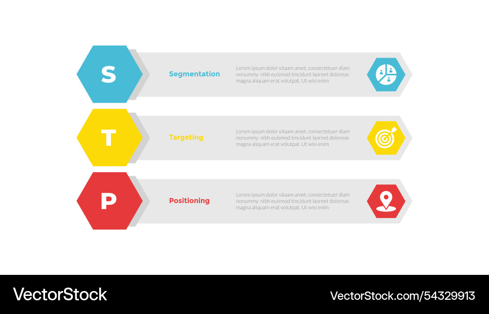 Stp marketing analysis infographics template Vector Image