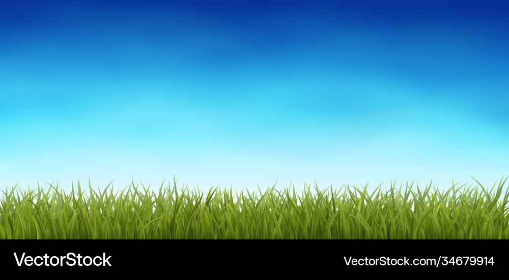 Background with green grass Royalty Free Vector Image