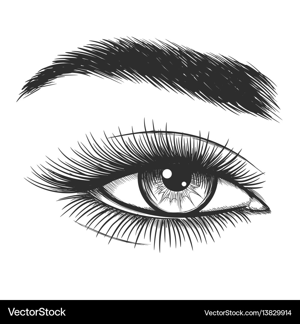 Brows Vector Images (over 8,100)