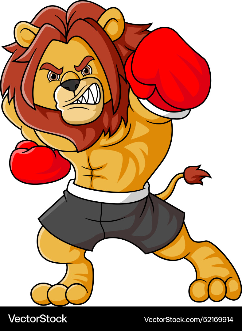 Cute lion boxing cartoon on white background Vector Image