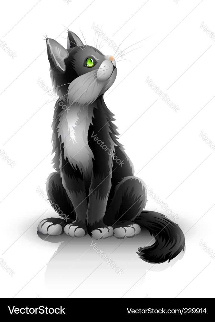 Kitten Royalty Free Vector Image - VectorStock
