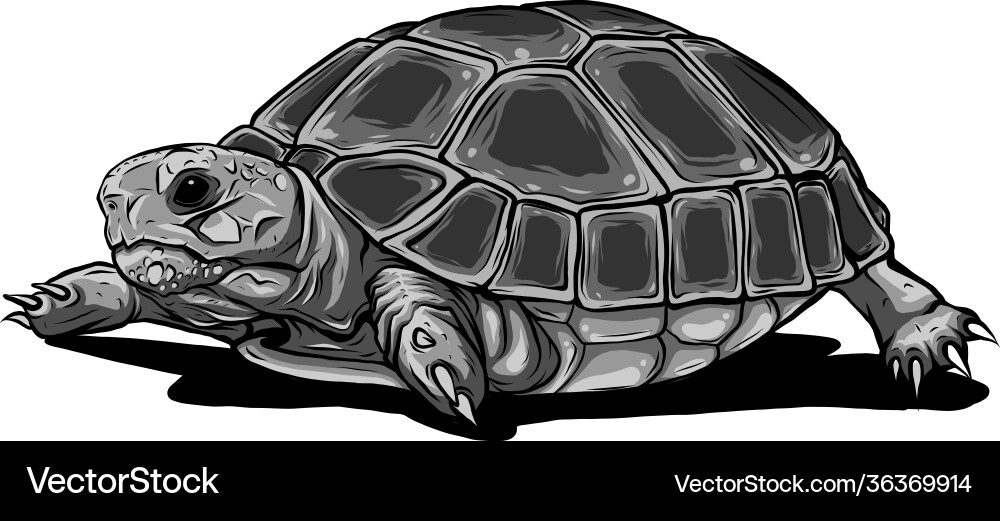 Monochromatic turtle iconcartoon Royalty Free Vector Image