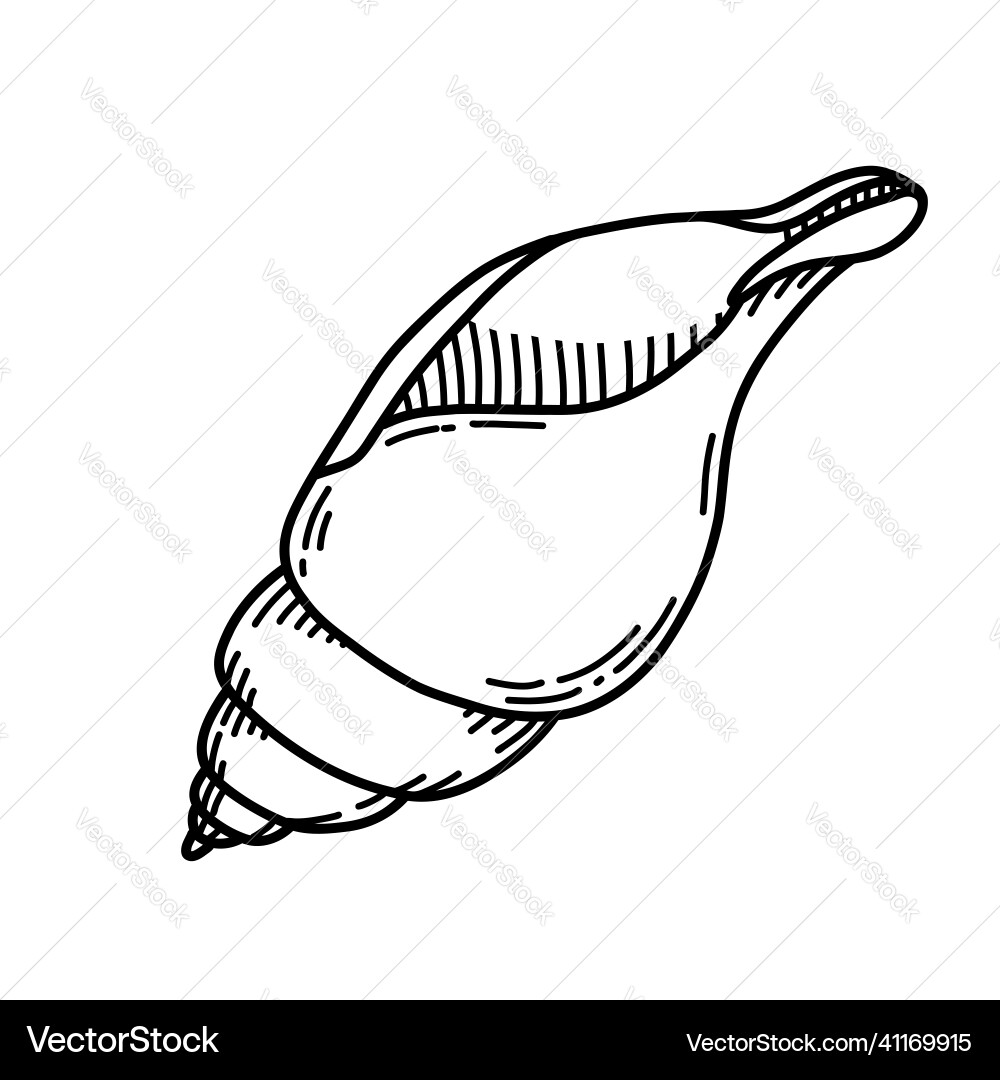 Shell in line art style Royalty Free Vector Image