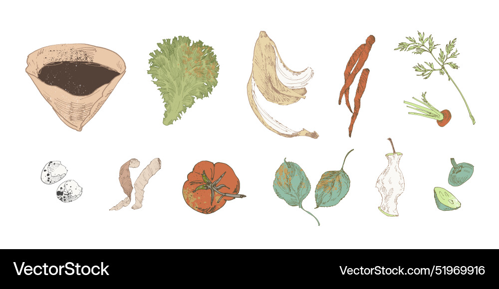 Kitchen scraps engraved set Royalty Free Vector Image