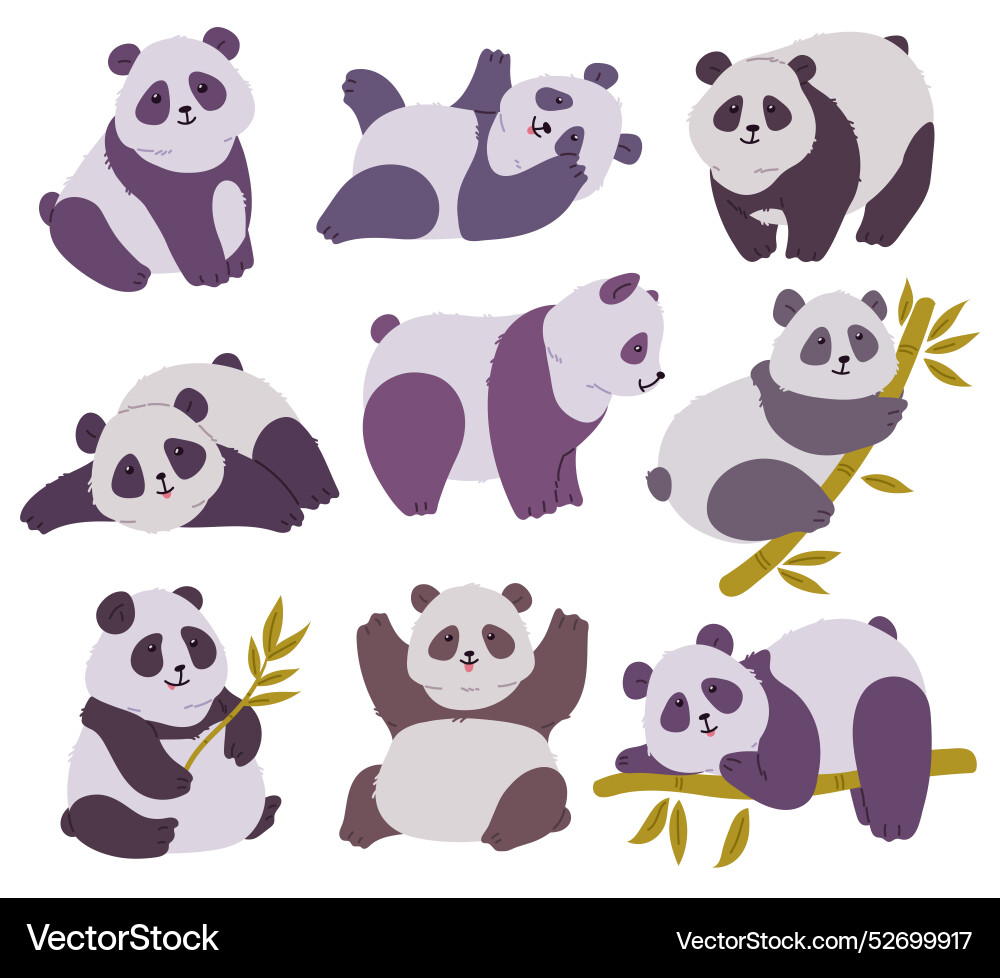 Cute panda in different poses standing on paws Vector Image