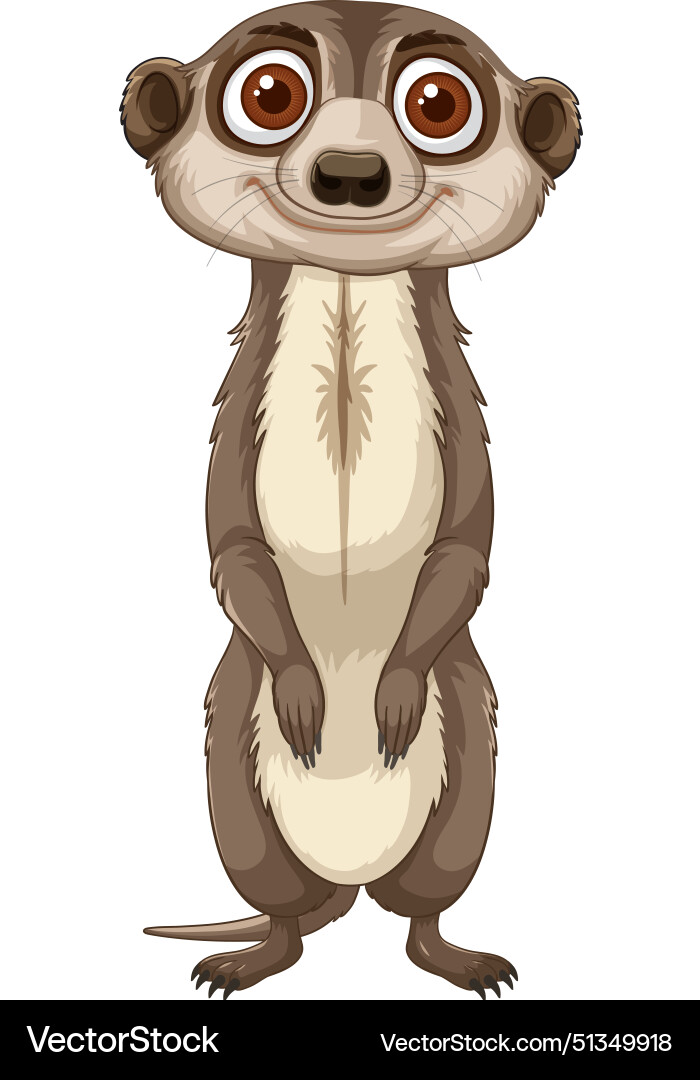 Adorable meerkat standing upright looking curious Vector Image