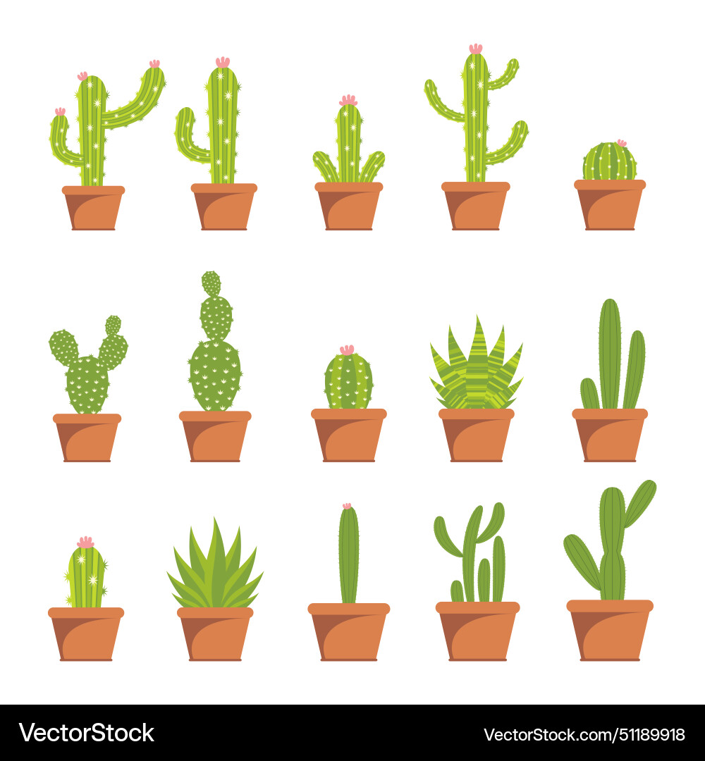 Cactus flat design Royalty Free Vector Image - VectorStock