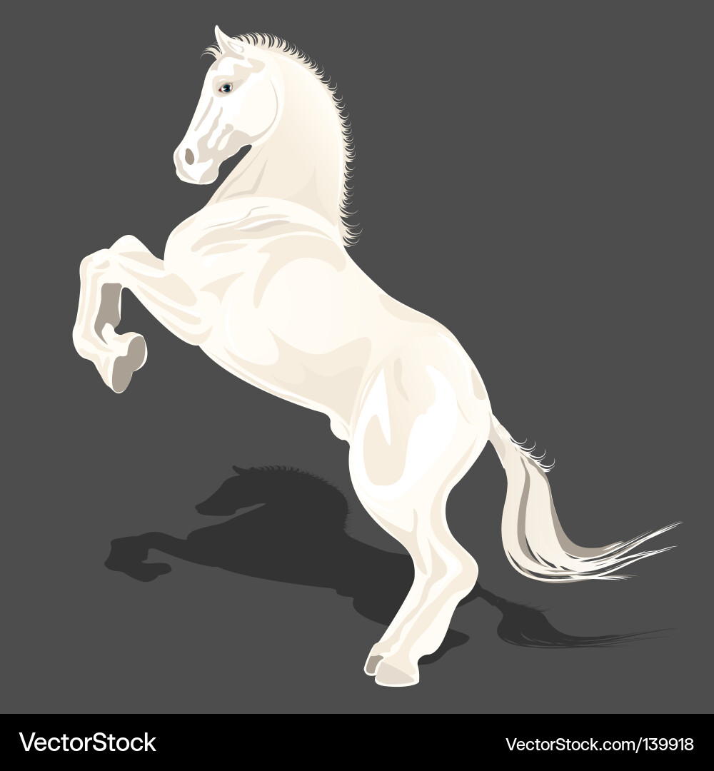 Powerful White Stallion Royalty Free Vector Image
