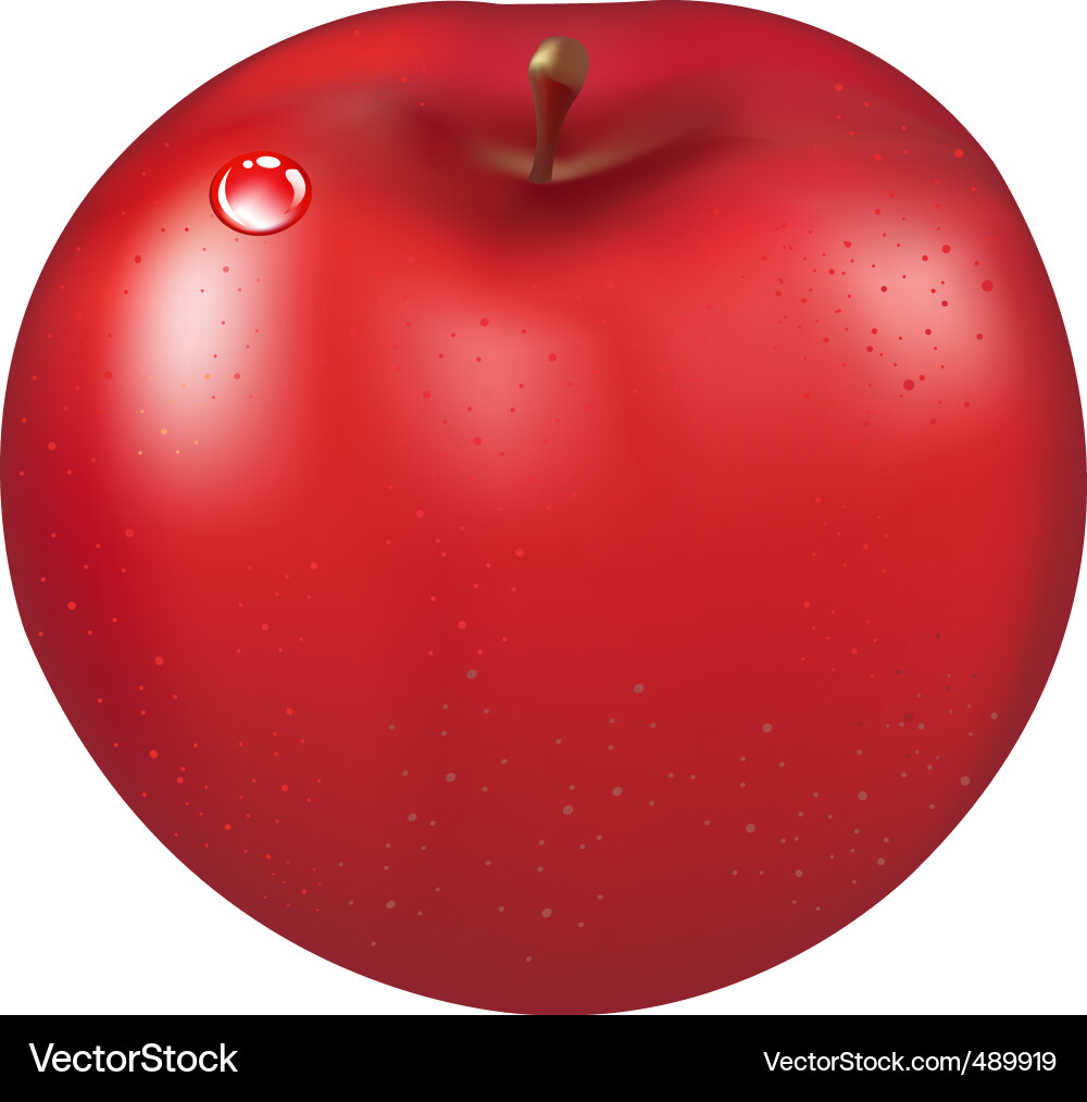 Red apple Royalty Free Vector Image - VectorStock