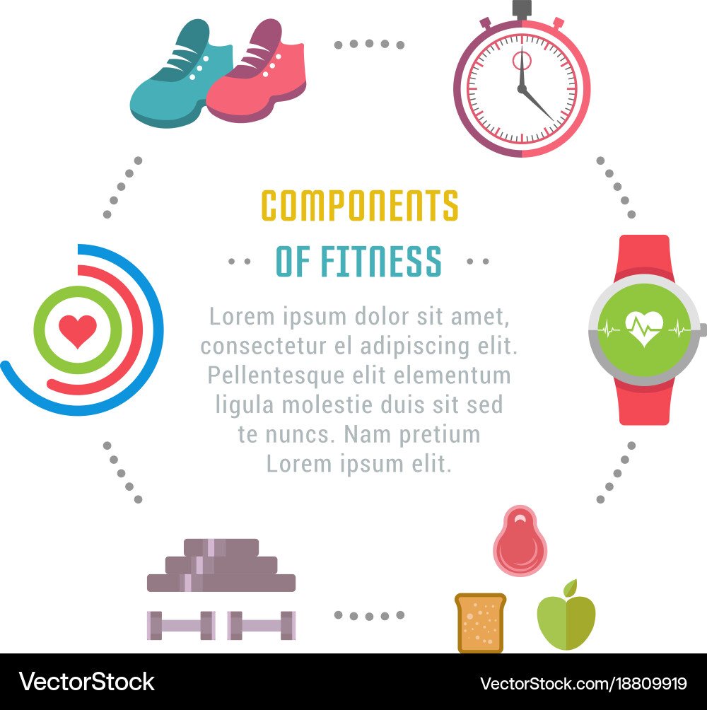 Website banner and landing page components Vector Image