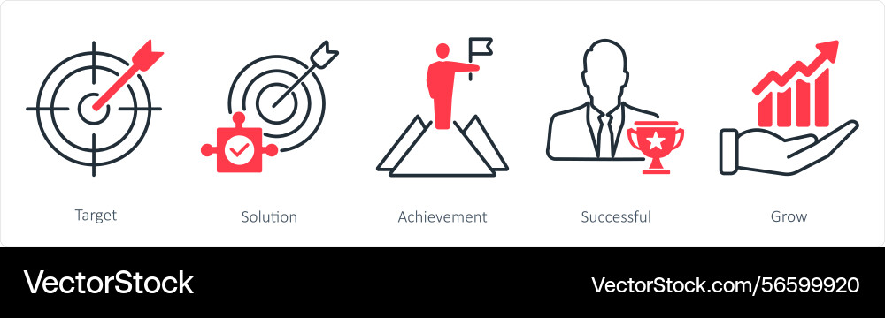 A set of 5 success icons as target solution Vector Image