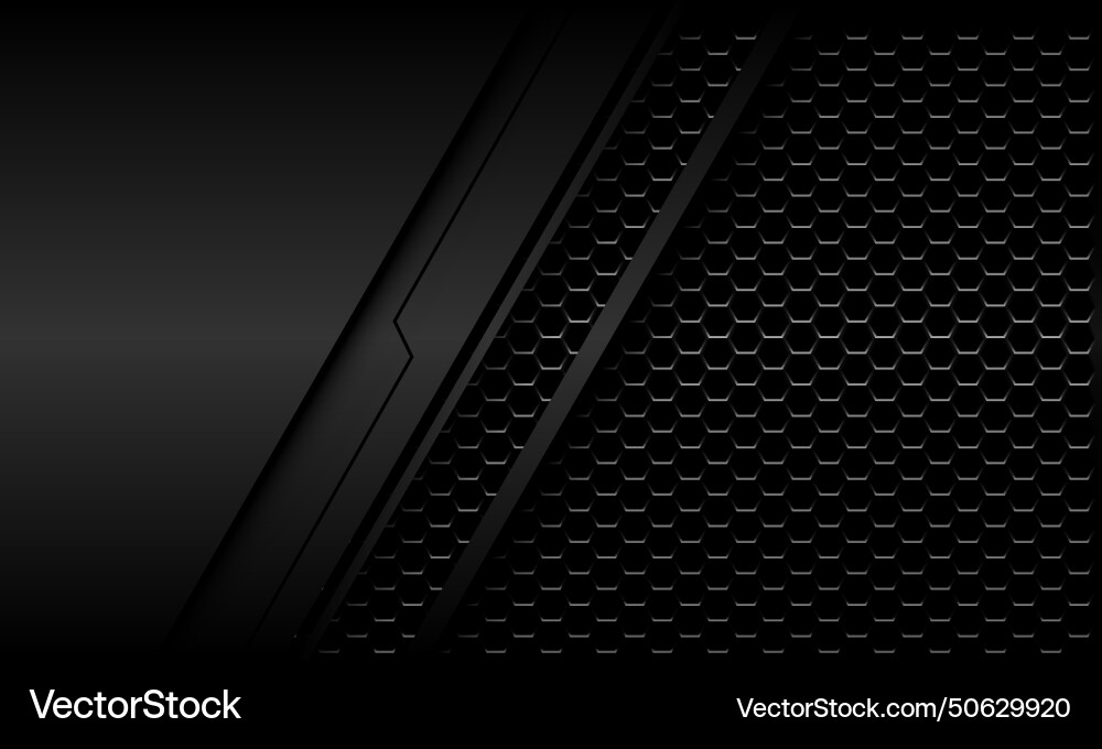 Abstract grey metallic black line cyber geometric Vector Image