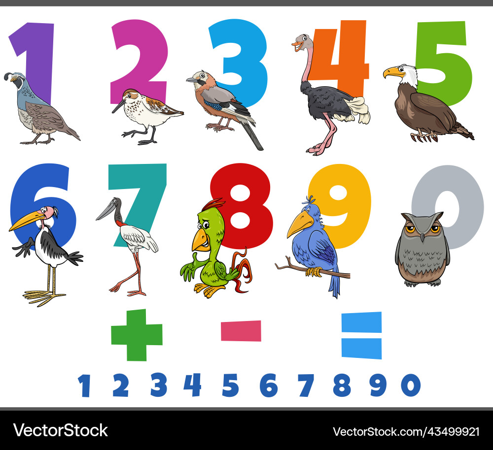 Educational numbers set with comic birds animal Vector Image