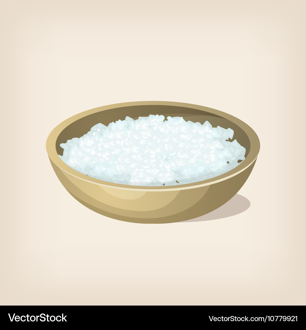 Sea salt flakes in a bowl Royalty Free Vector Image