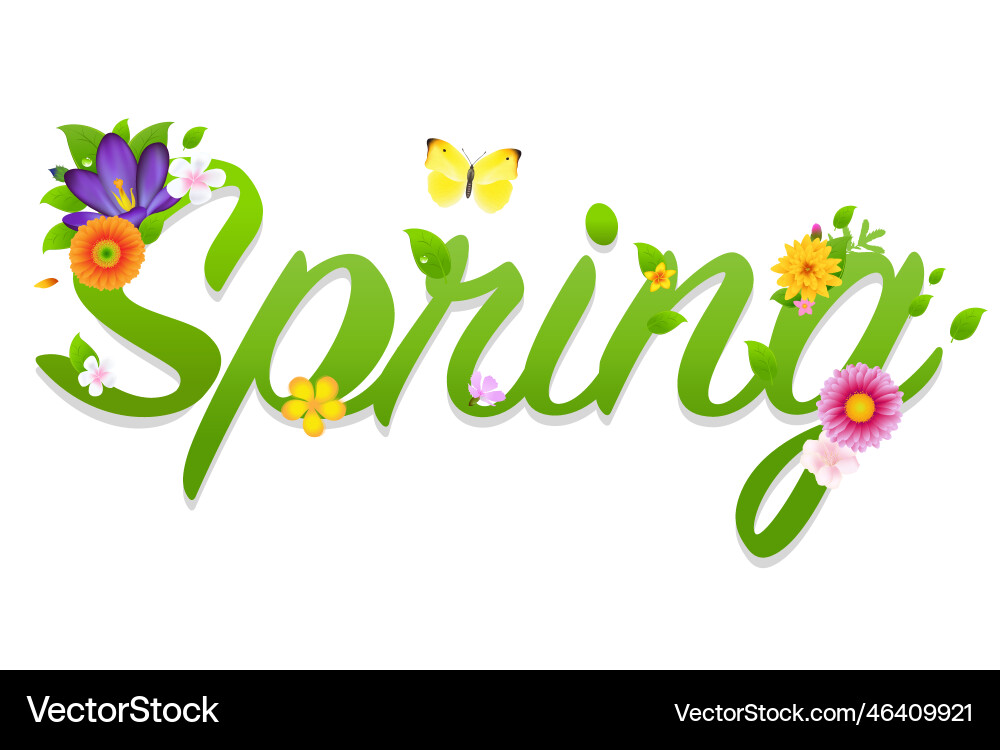 Spring text and isolated white background Vector Image