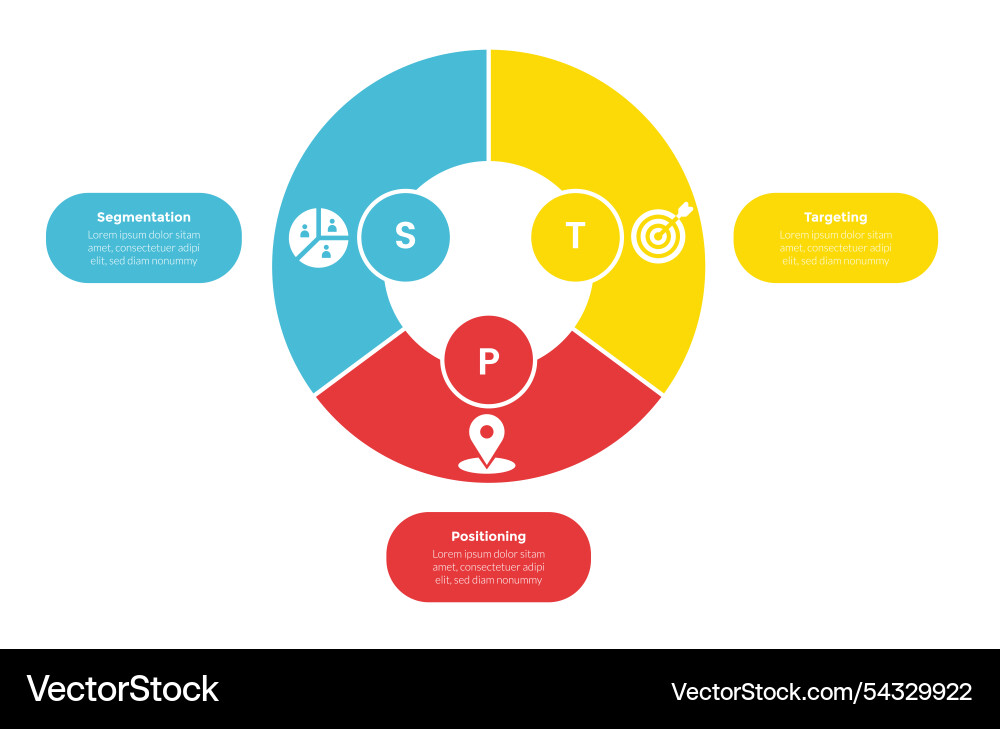 Stp marketing analysis infographics template Vector Image