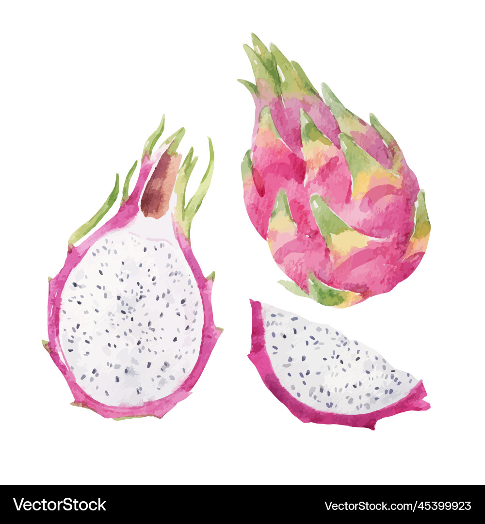 Beautiful stock clip art Royalty Free Vector Image