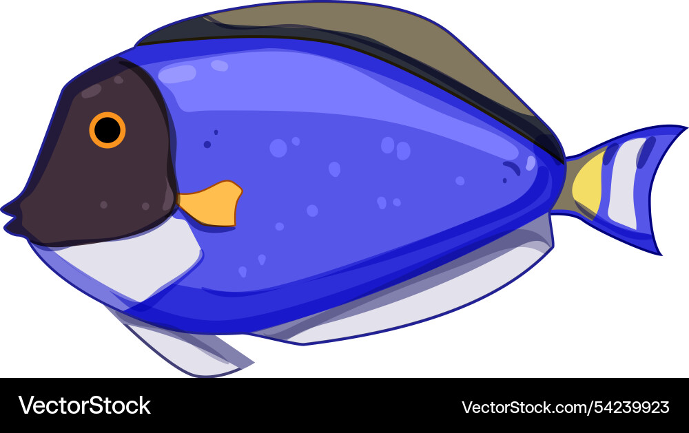 Tetra exotic fish cartoon Royalty Free Vector Image