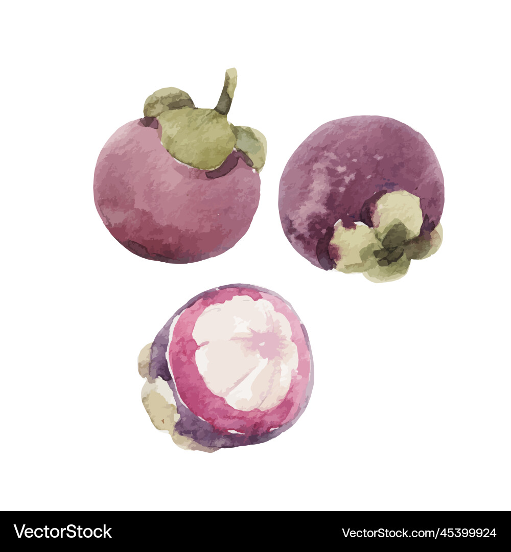 Beautiful stock clip art Royalty Free Vector Image