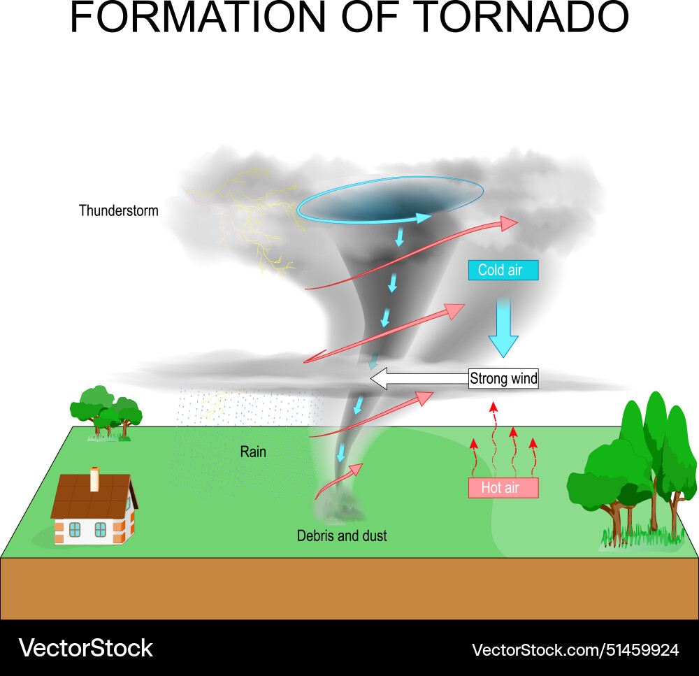 Tornado formation severe weather tornadogenesis Vector Image