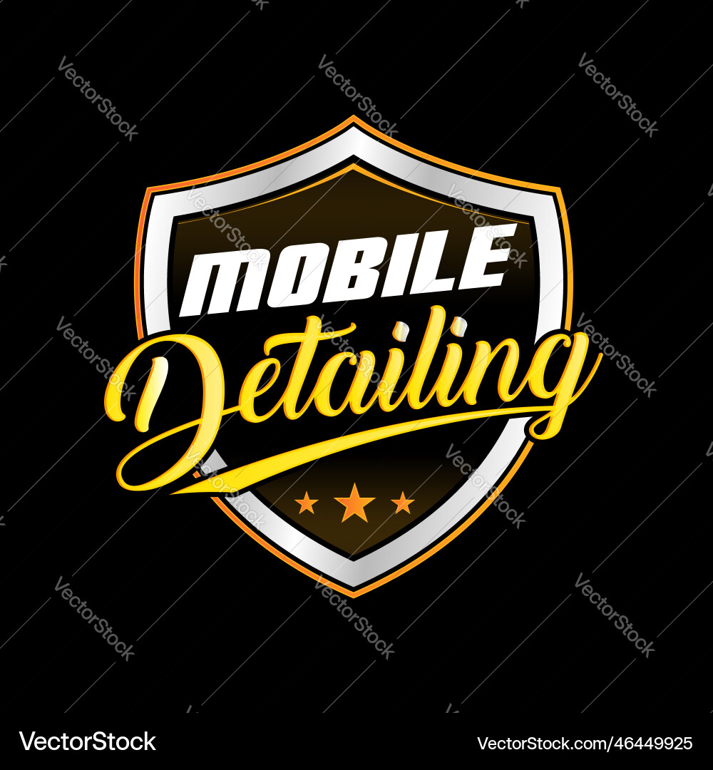 Blue and silver mobile valeting detailing Vector Image