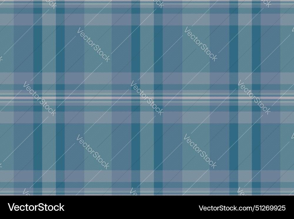 Delicate textile seamless check birthday card Vector Image